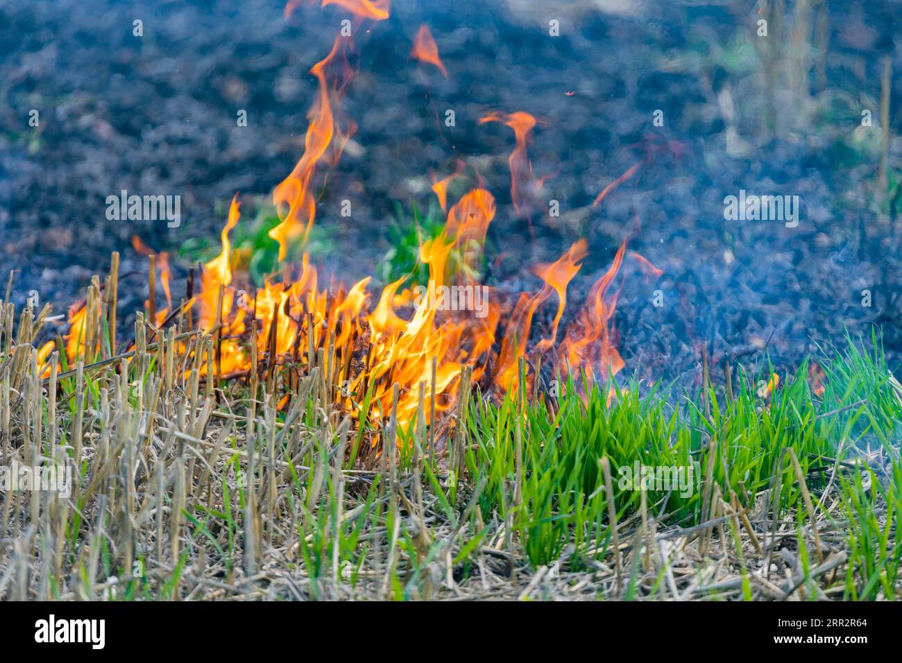 During controlled field fires, the firefighters were able to test ...