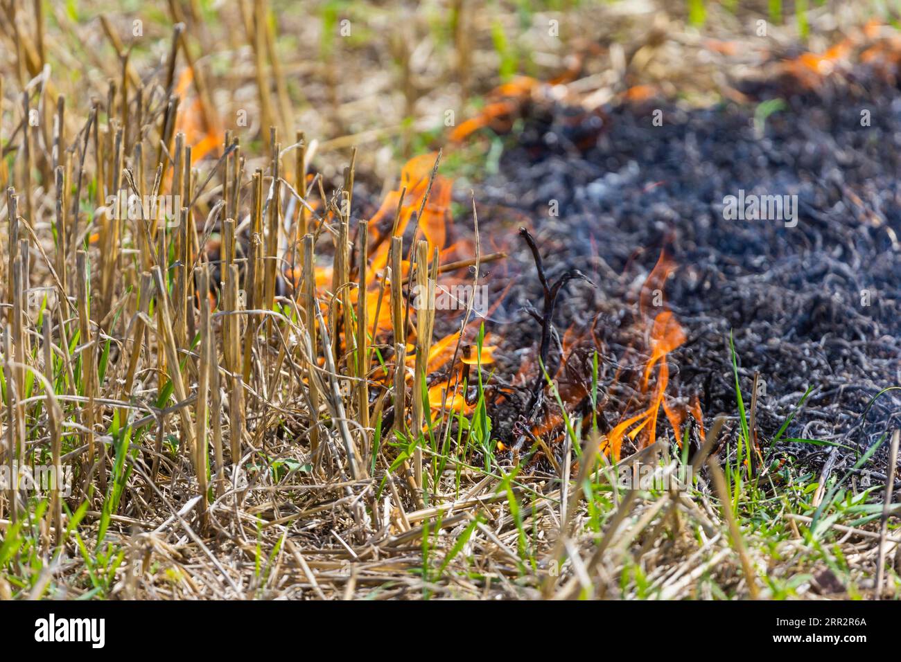 During controlled field fires, the firefighters were able to test ...