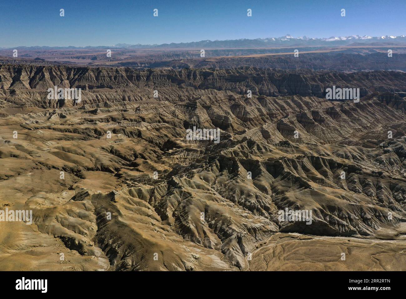 201016 -- ZANDA, Oct. 16, 2020 -- Photo taken on Oct. 15, 2020 shows ...