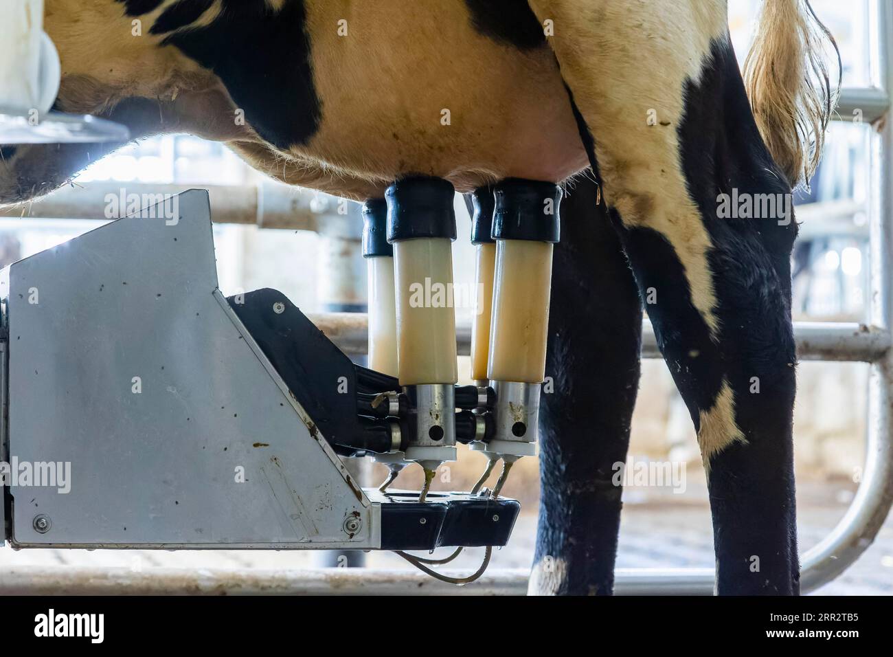 Winner of the Saxon State Competition for Animal-Friendly and ...