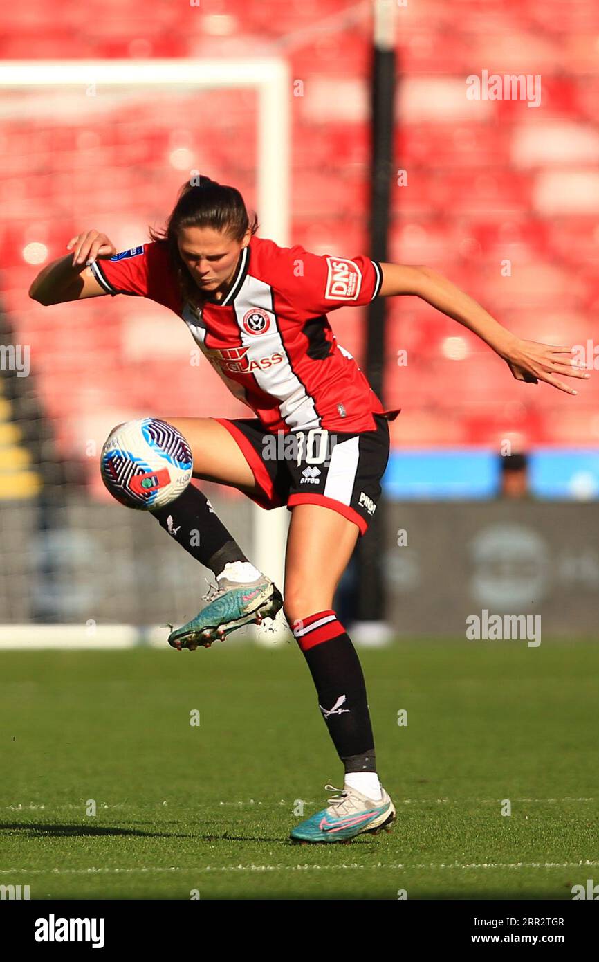 Lanestadium hi-res stock photography and images - Alamy