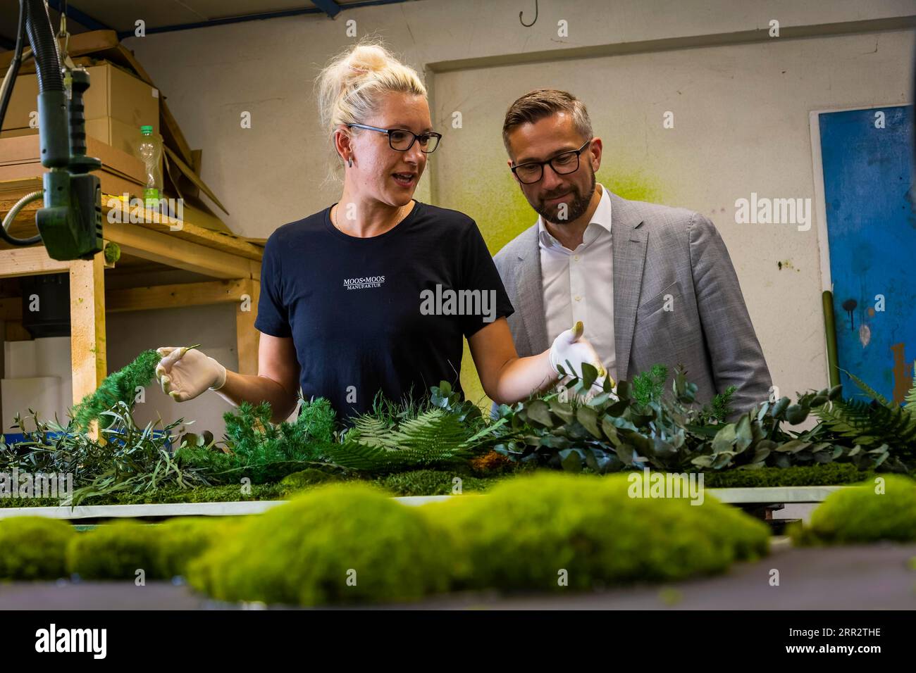 Moss Moss Manufacture Stock Photo - Alamy