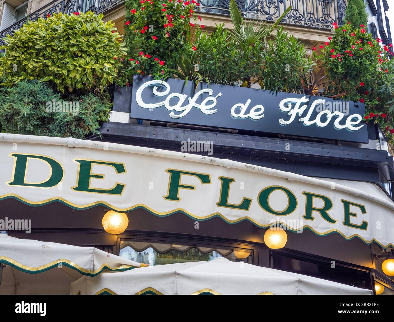 Café de Flore, Philosophers Cafe, Paris, France, Europe, EU Stock Photo - Alamy