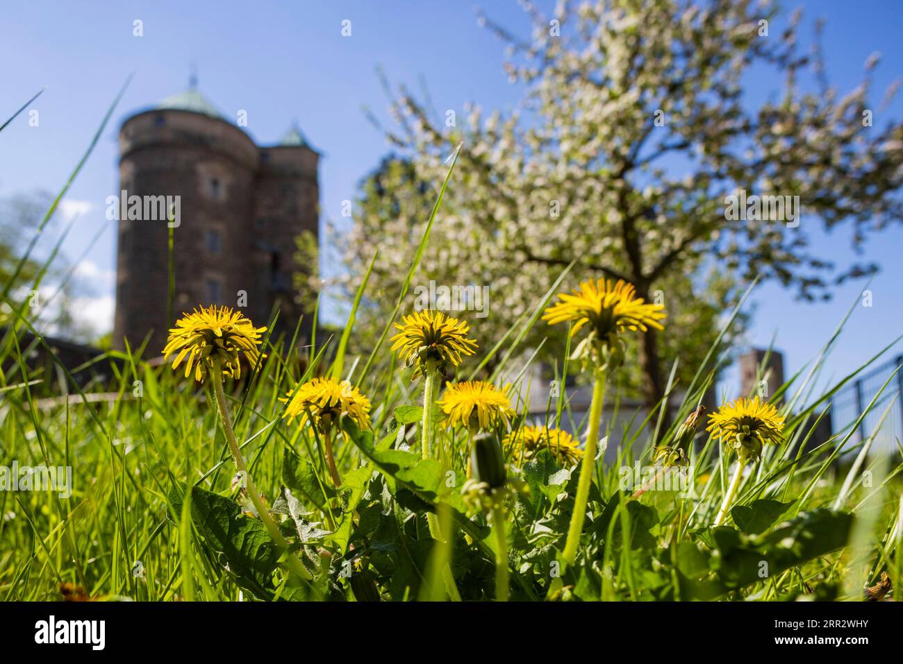 Stolpen Castle, which in its history was converted from a hilltop ...