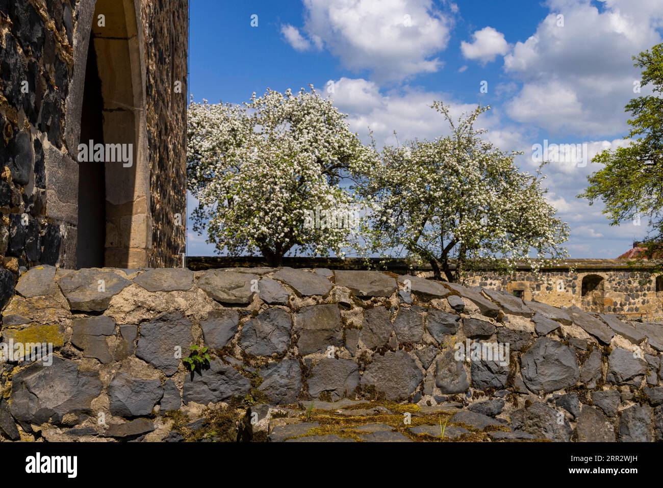 Stolpen Castle, which in its history was converted from a hilltop ...
