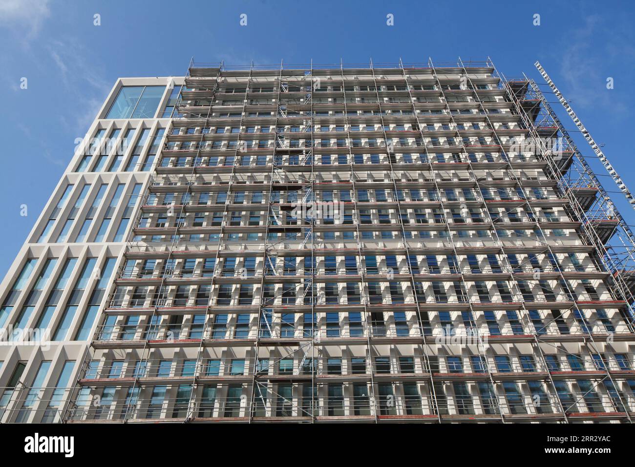 Commercial shell hi-res stock photography and images - Alamy