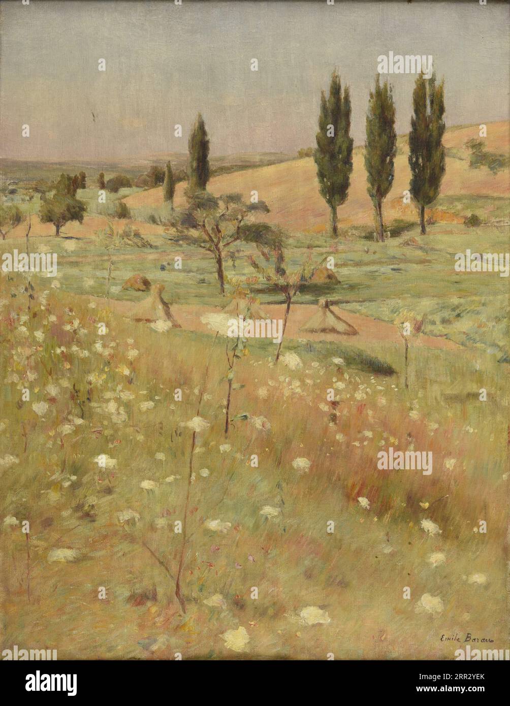 Matinee d hi-res stock photography and images - Alamy