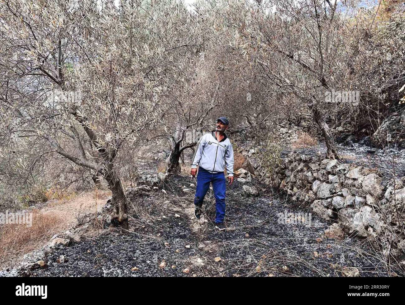 Syria tartous 2020 hi-res stock photography and images - Alamy