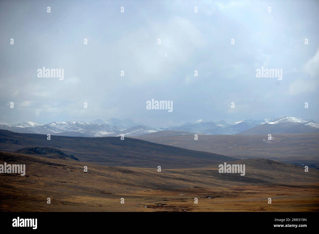 Deosai national park hi-res stock photography and images - Alamy