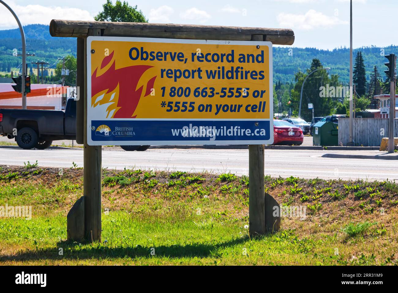 With the many wildfires in British Columbia, the government has ...