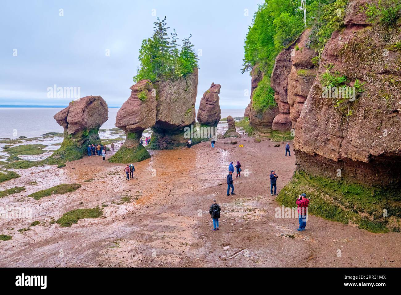 Visitors appear tiny next to the giant formations at Hopewell Rocks ...