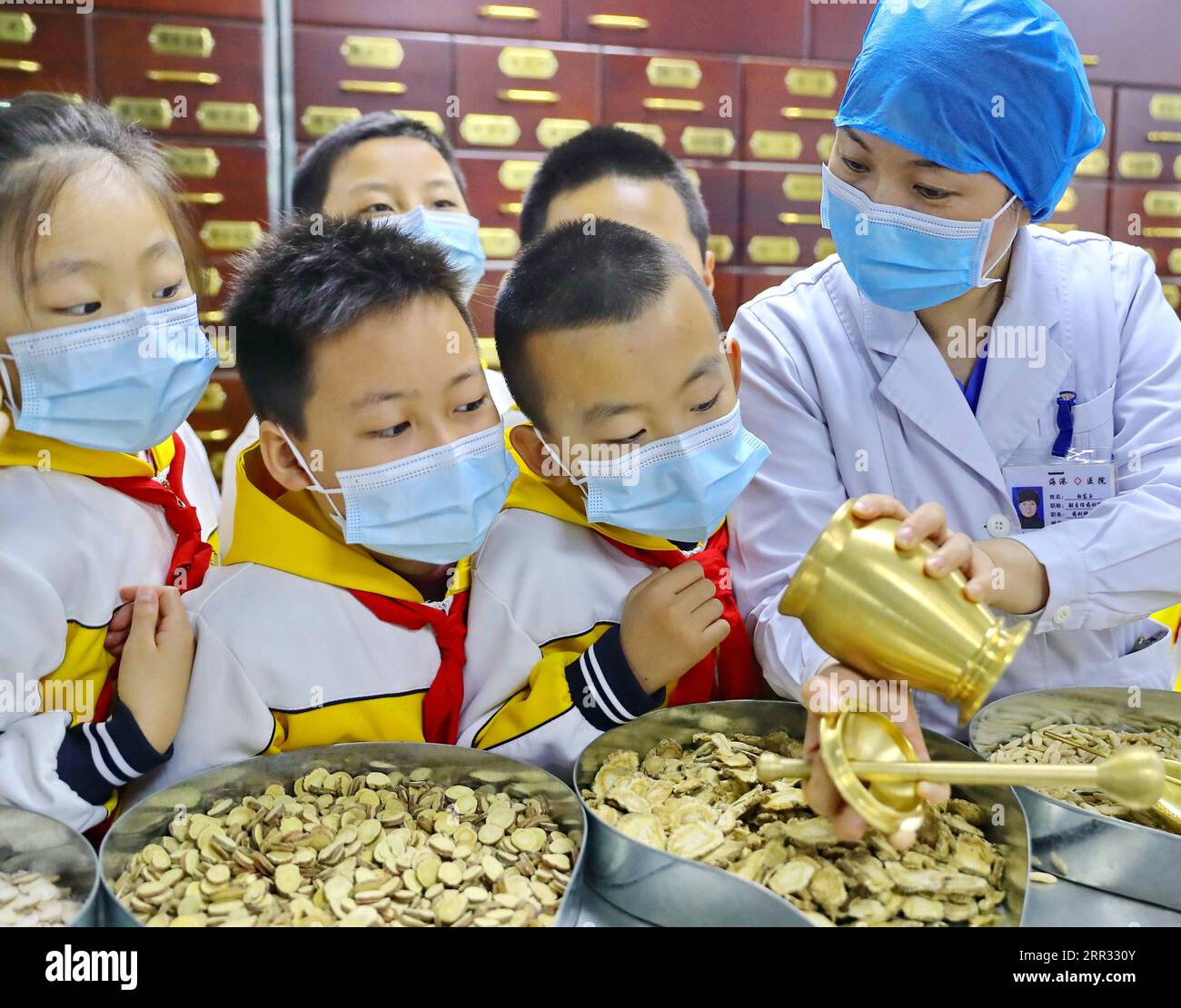 Traditional chinese medicinal materials hi-res stock photography and ...