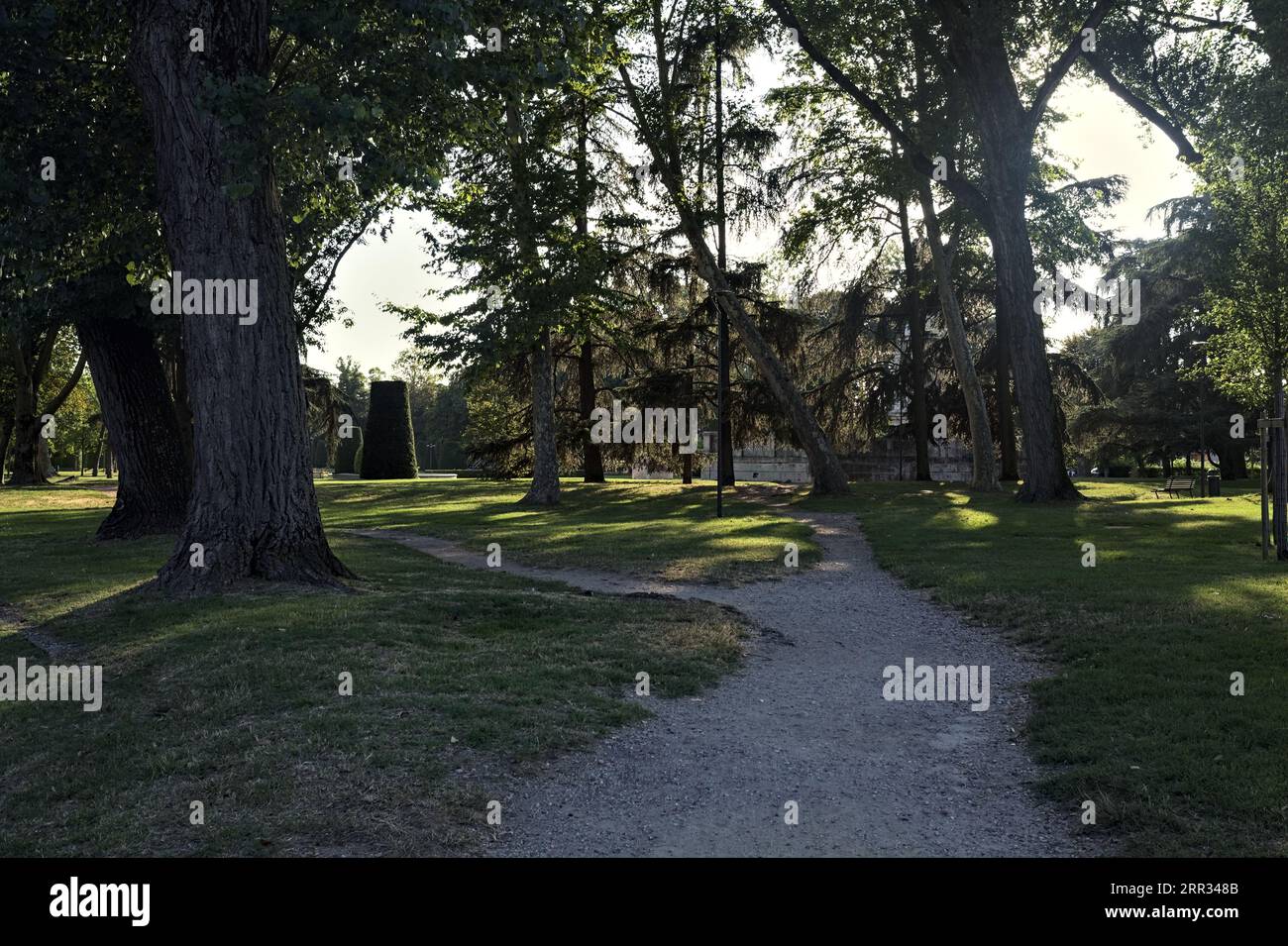 Dirt path splitting in two in a park in an italian town at sunset Stock ...