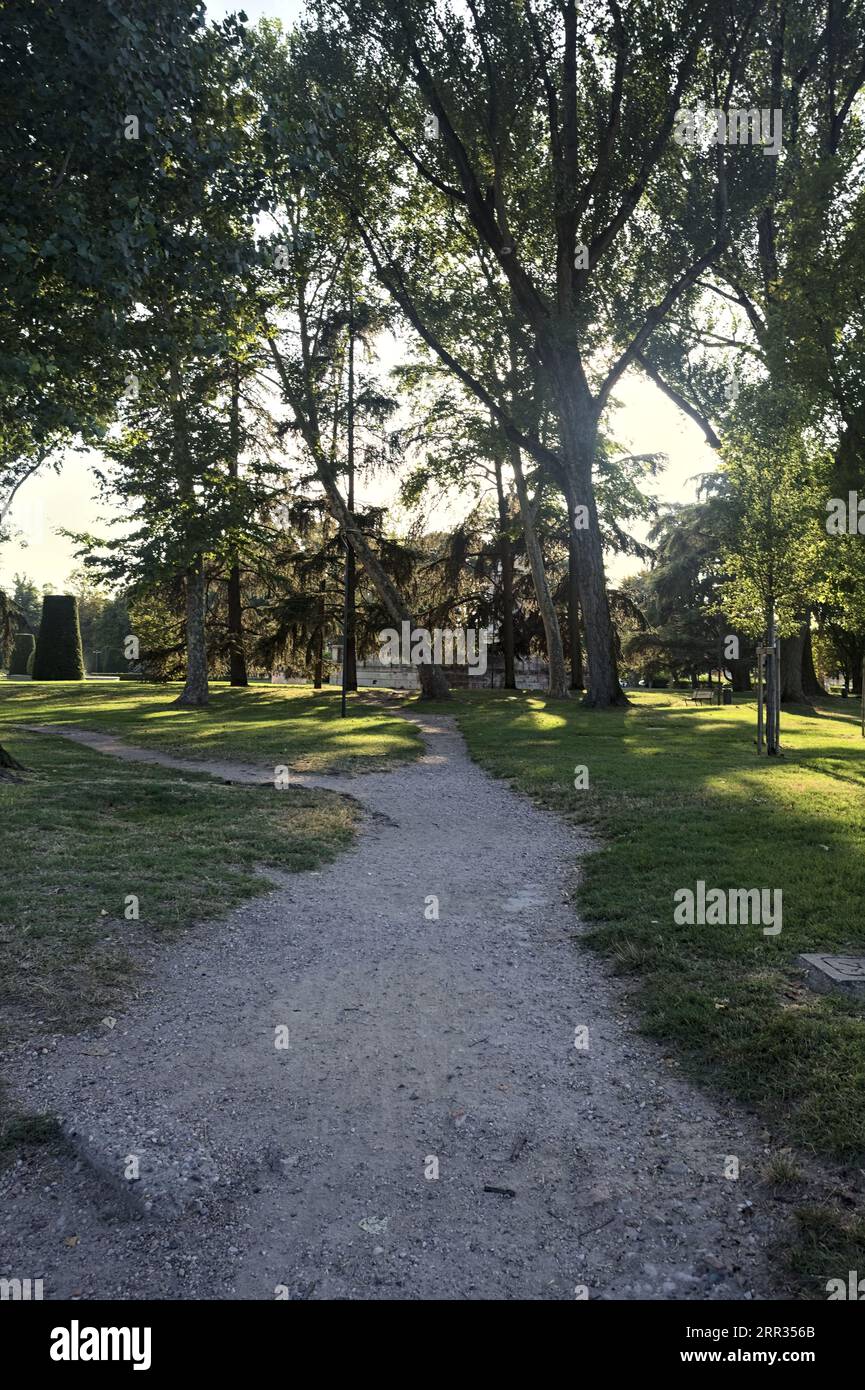 Dirt path splitting in two in a park in an italian town at sunset Stock ...