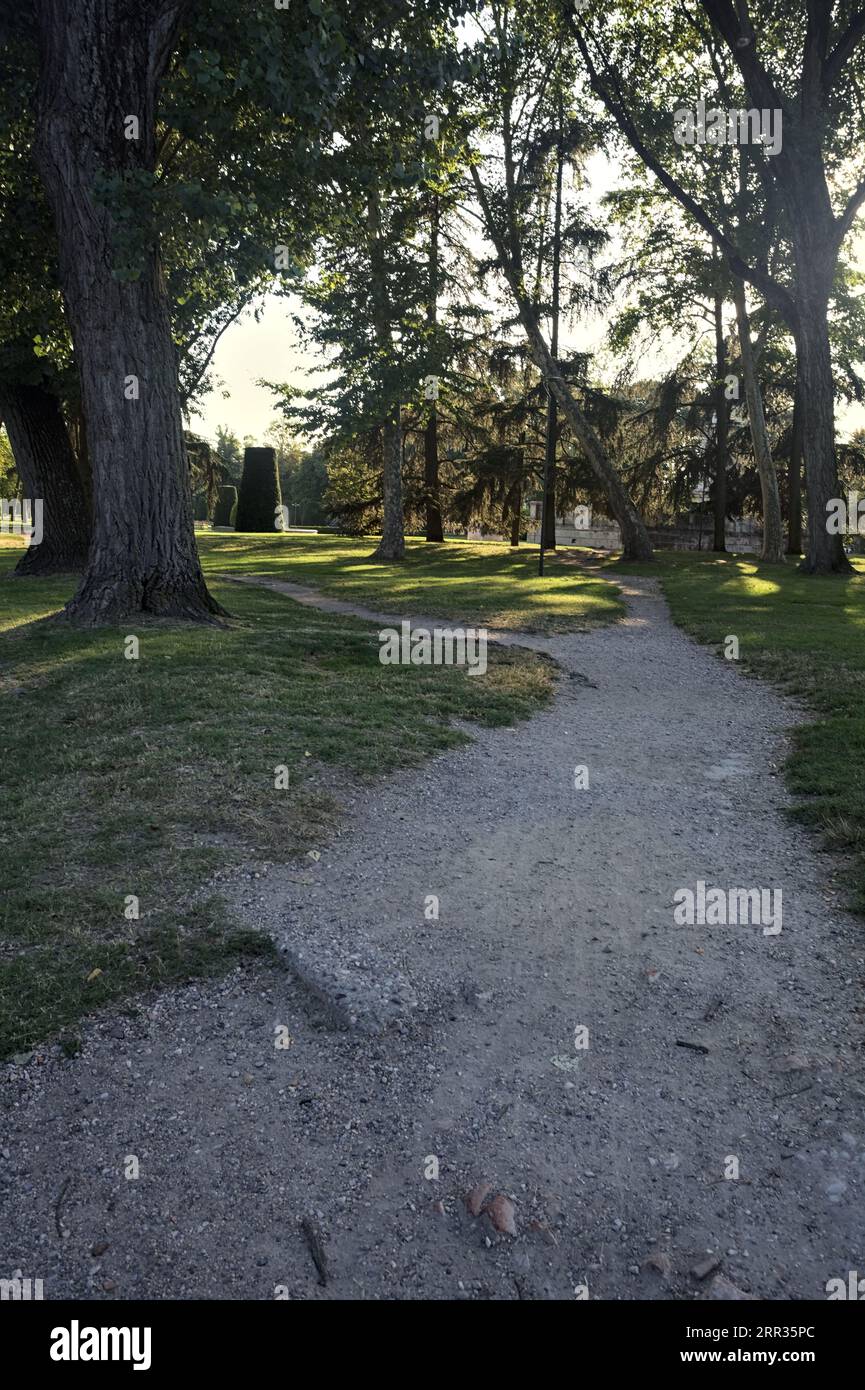 Dirt path splitting in two in a park in an italian town at sunset Stock ...