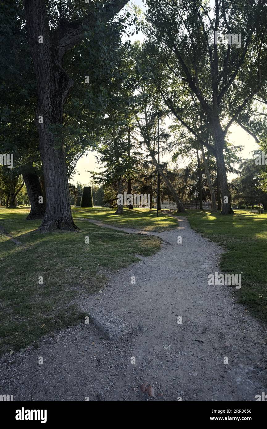 Dirt path splitting in two in a park in an italian town at sunset Stock ...