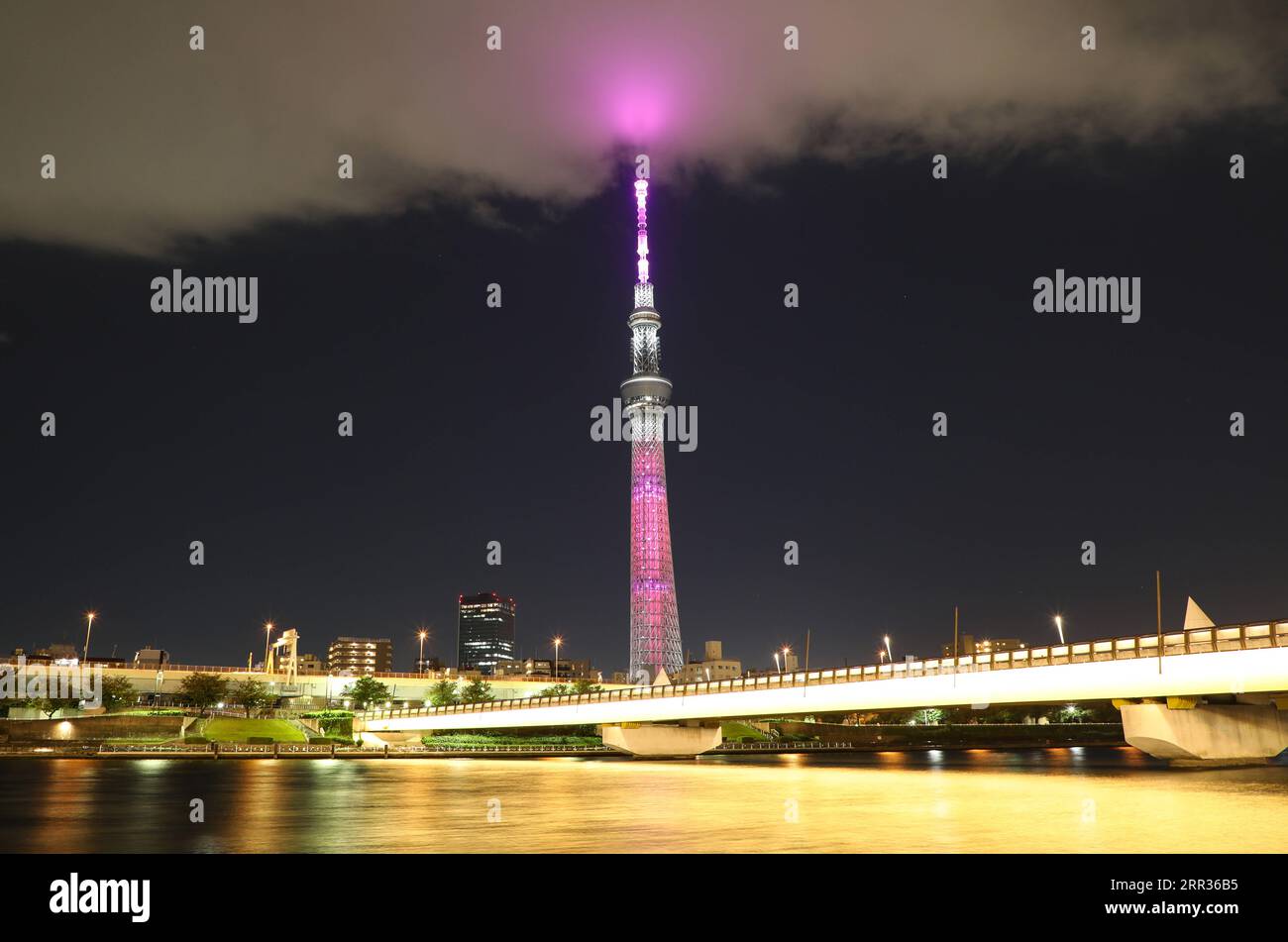 201024 -- TOKYO, Oct. 24, 2020 -- Tokyo Skytree is illuminated with a color symbolizing one of ...