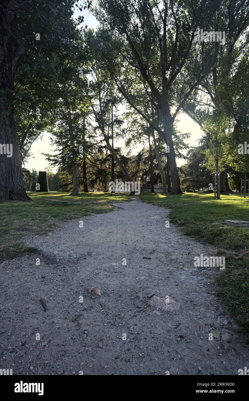 Dirt path splitting in two in a park in an italian town at sunset Stock ...
