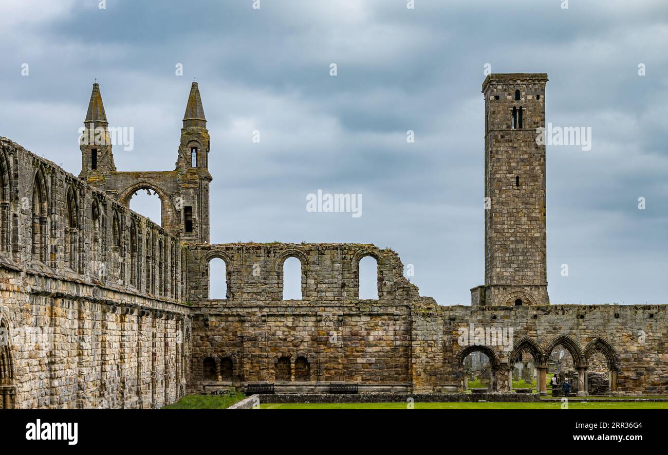 St Andrews Cathedral ruins, Fife, Scotland, UK Stock Photo - Alamy
