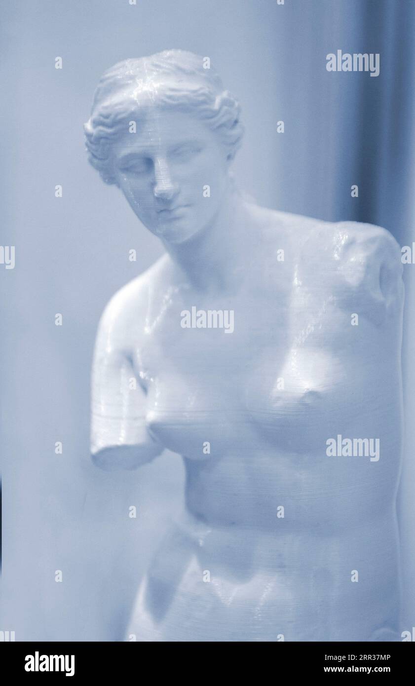 Art object printed on 3D printer. Prototype of an ancient Greek statue. Model printed on 3D ...