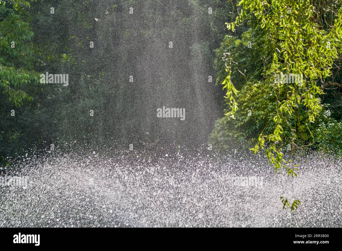 Water droplets and mist over fountain Wroclaw Botanical gardens poland ...