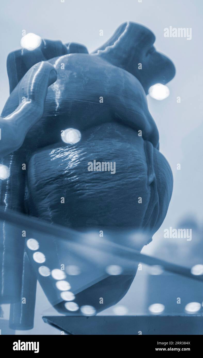 Art object printed on 3D printer. Prototype of the human heart. Model ...