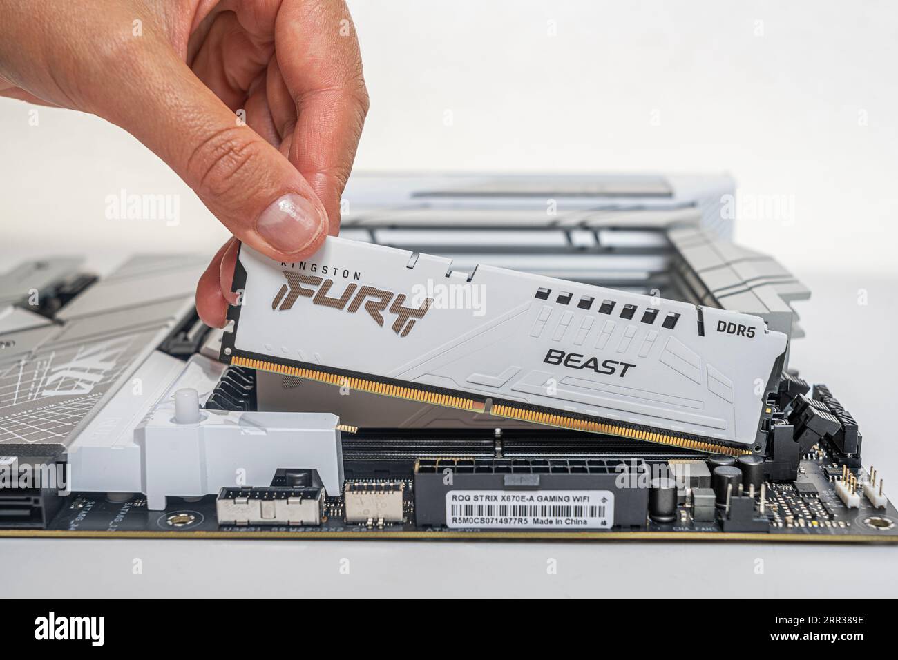 Installing DDR5 RAM Kingston Fury DDR5-6000 Beast AM5 on the ...