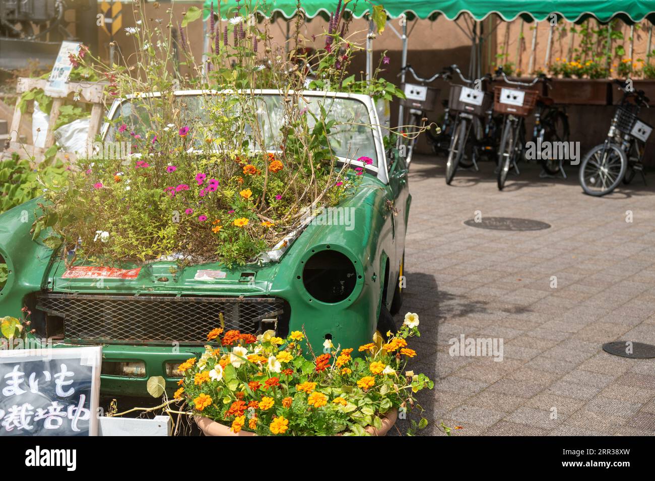 Flowers yard on a recycled car for eco friendly concept. Gardening on a ...