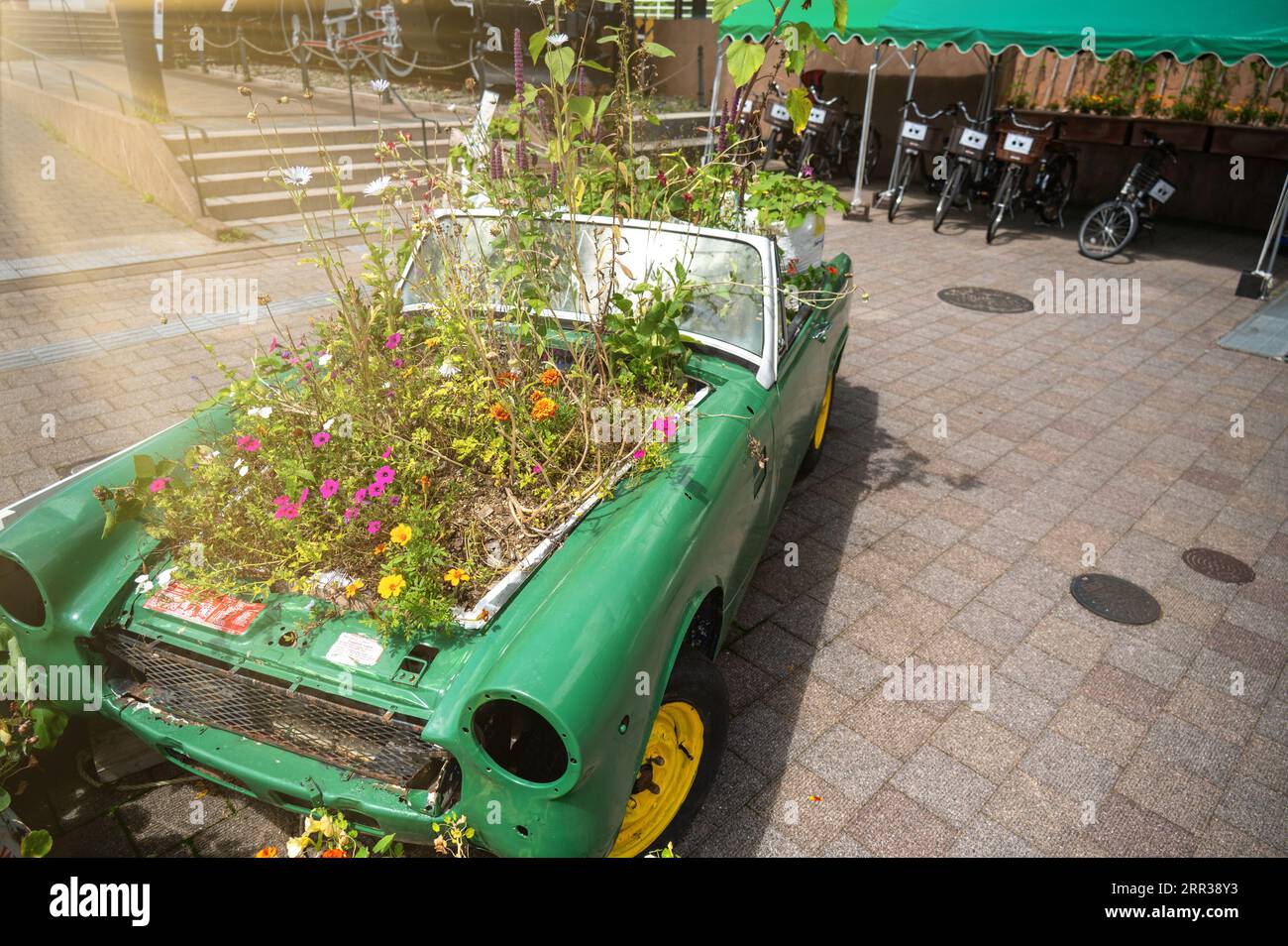 Flowers yard on a recycled car for eco friendly concept. Gardening on a ...