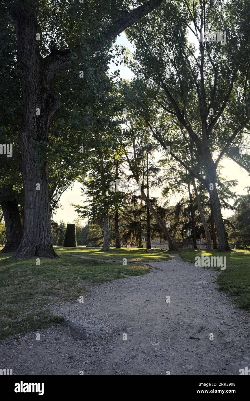 Dirt path splitting in two in a park in an italian town at sunset Stock ...