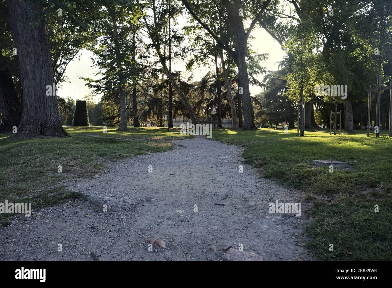 Dirt path splitting in two in a park in an italian town at sunset Stock ...
