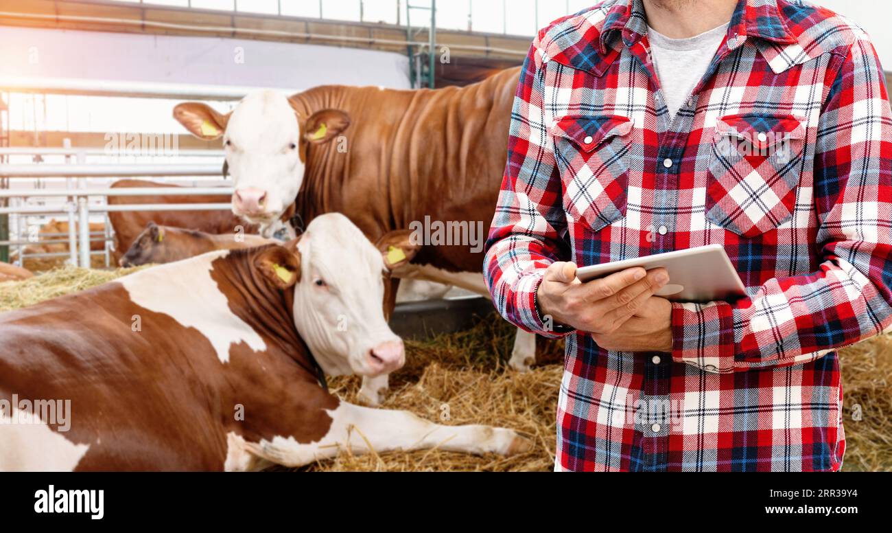 Livestock farmer with digital tablet in his hand standing in front of ...