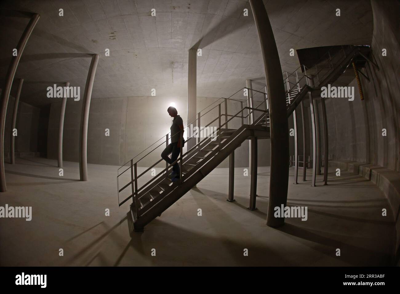01 September 2023, Saxony-Anhalt, Halberstadt: View into a ...