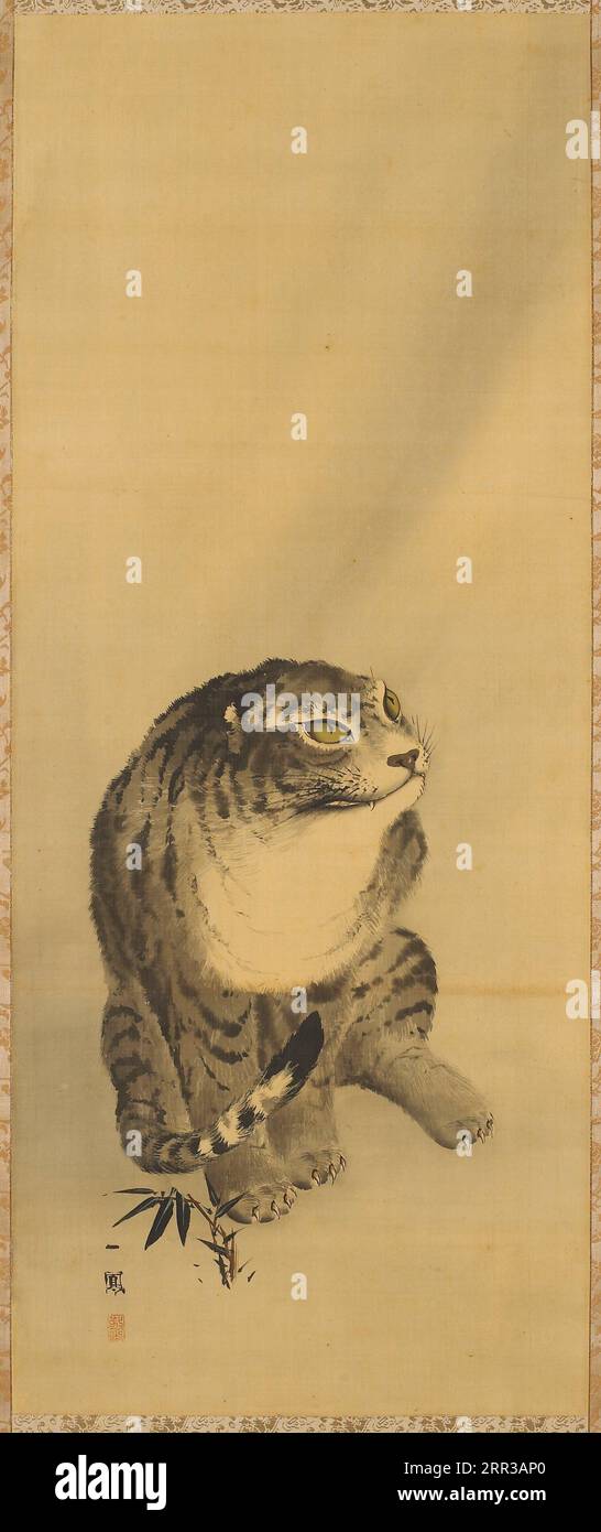 Tiger left hi-res stock photography and images - Alamy