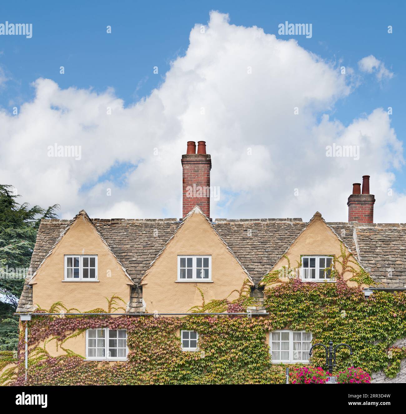 Ivy clad wall at Trinity College, University of Oxford, England Stock ...