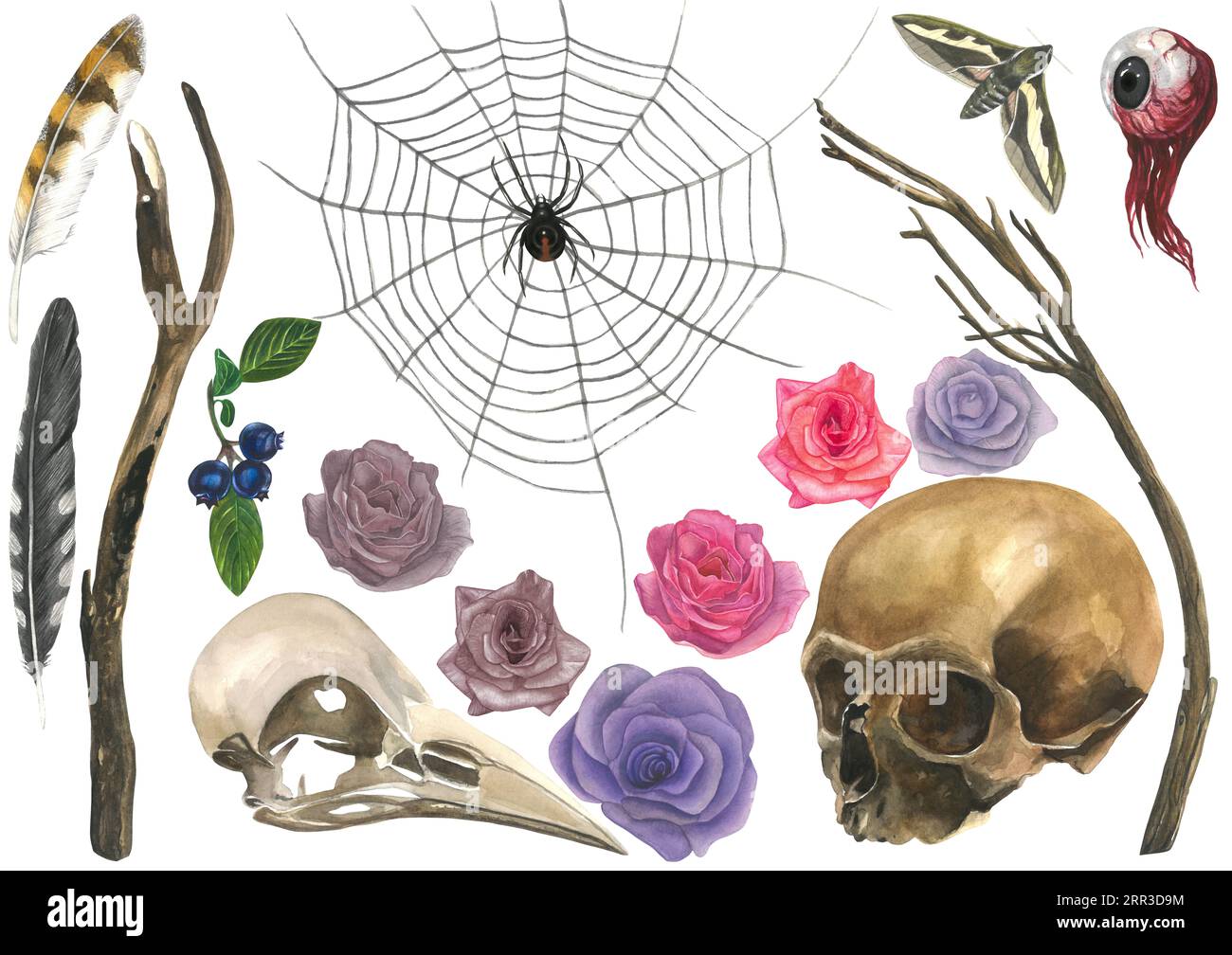 Gothic - human skull, aven skull,tree branches,eyeball,spider,cobweb ...