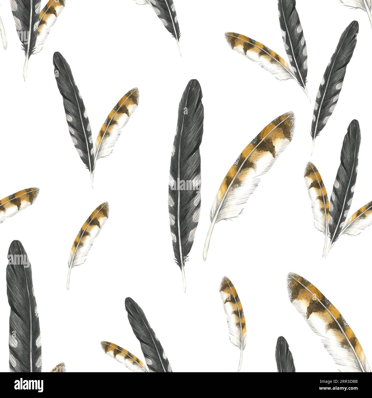 Seamless pattern watercolor illustrations of cuckoo feathers and owl ...