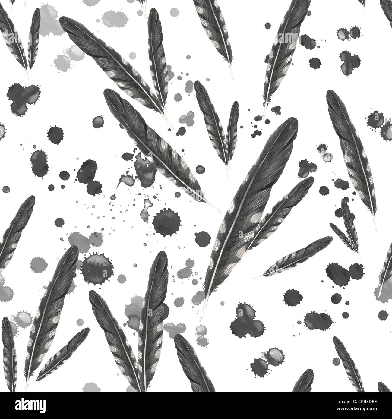 Seamless pattern watercolor illustrations of cuckoo feathers and ink ...