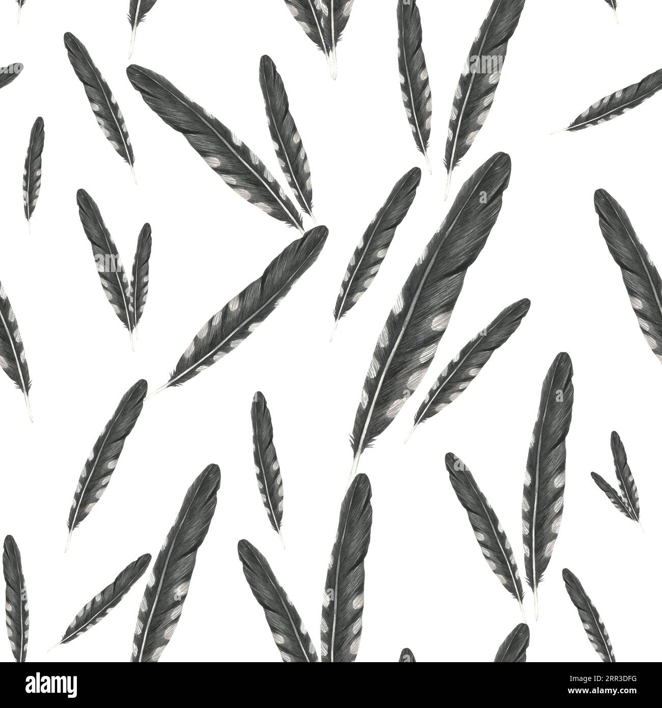 Seamless pattern watercolor illustration of cuckoo feathers, isolated ...