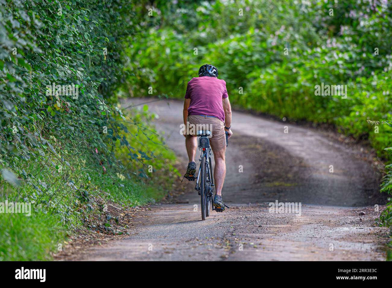 Rear view of isolated male cyclist wearing cycling helmet and shorts ...