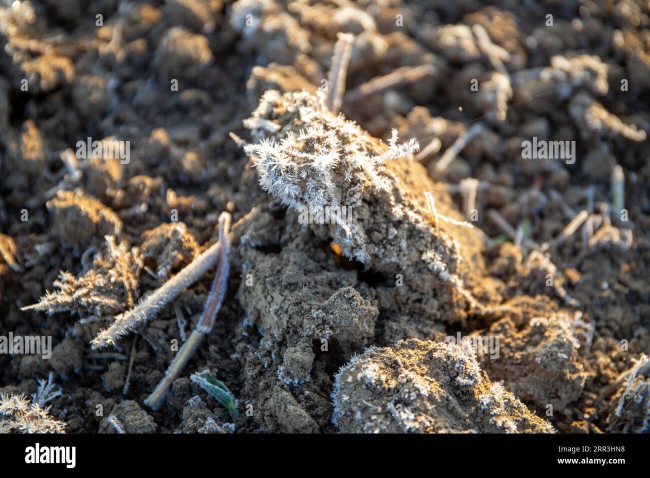 Lumps of earth in a field covered with frost Stock Photo - Alamy