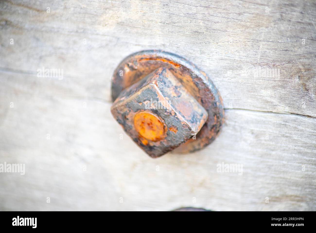Old rusty screw in the wood Stock Photo - Alamy