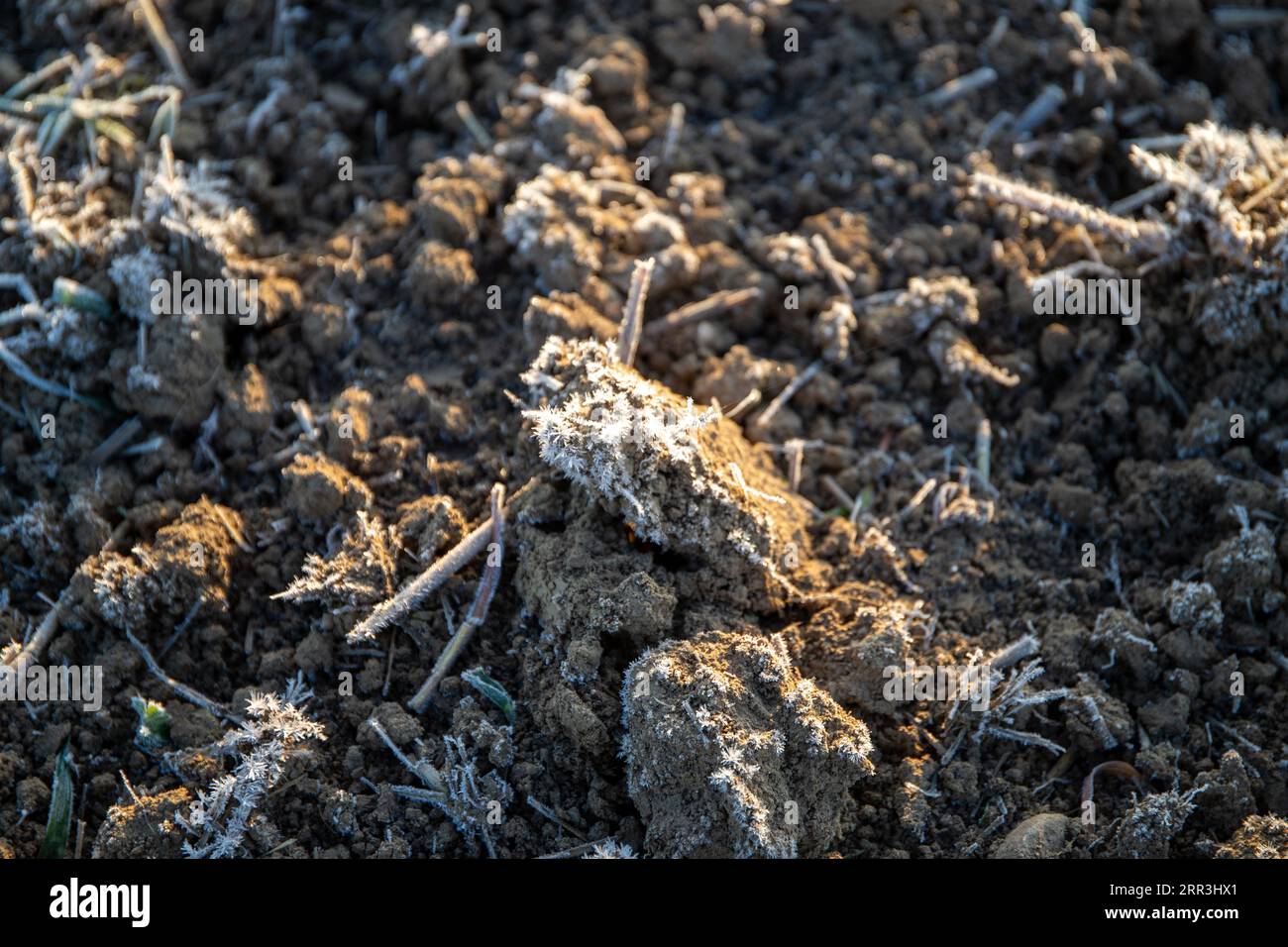 Lumps of earth in a field covered with frost Stock Photo - Alamy