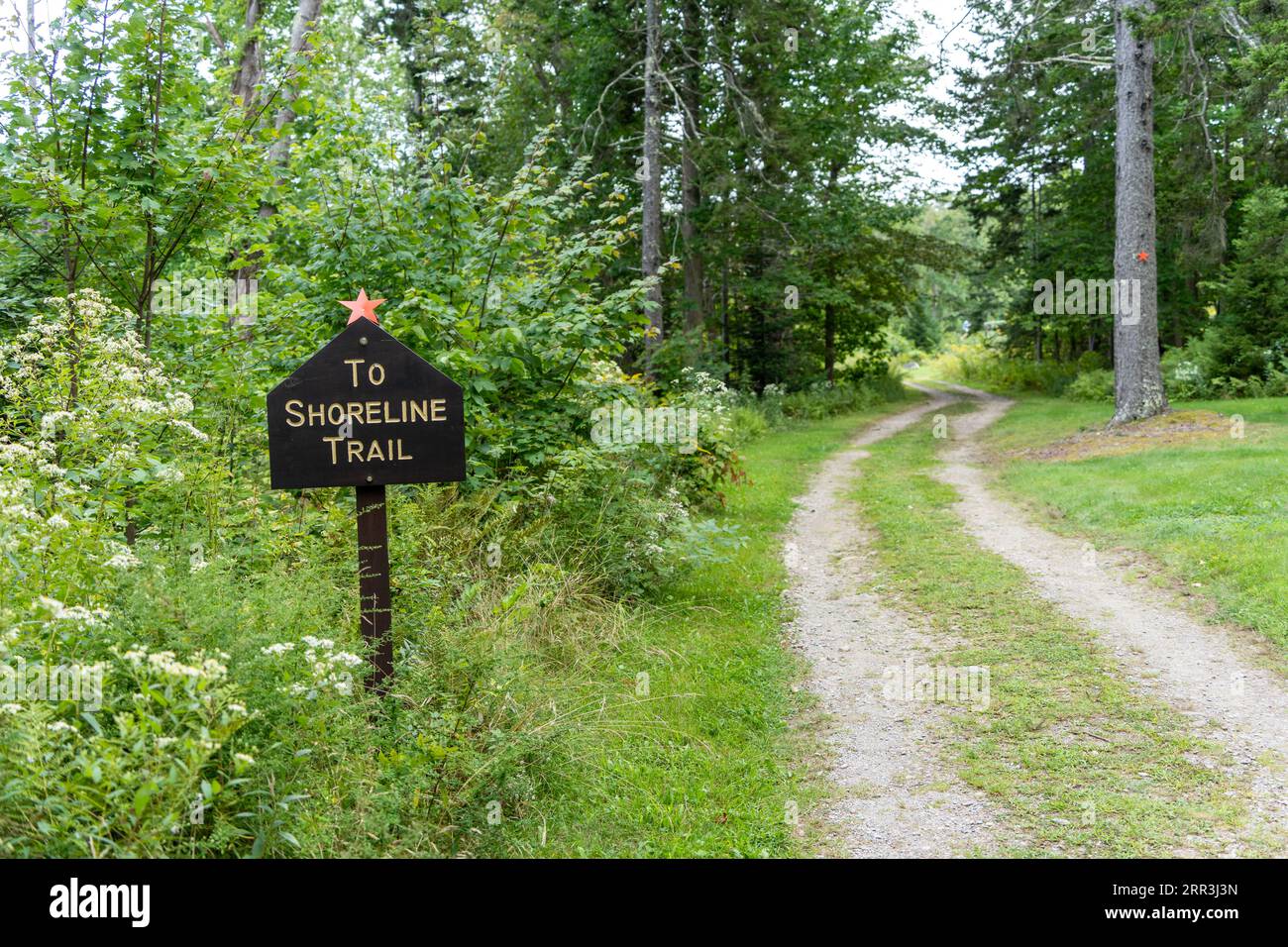 Shoreline Trail sign in a woodland park in Maine Stock Photo - Alamy