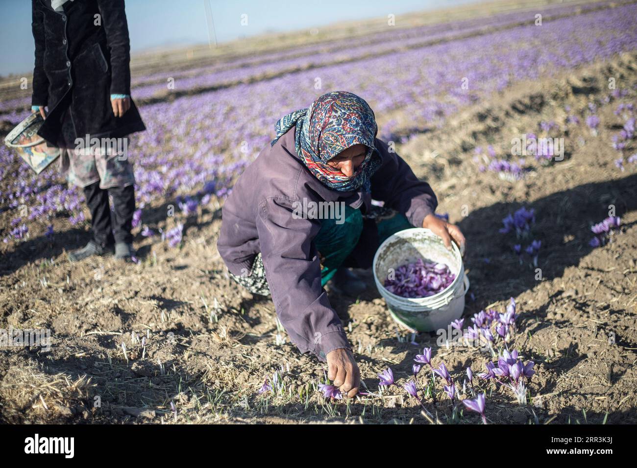 Torbat e hi-res stock photography and images - Alamy