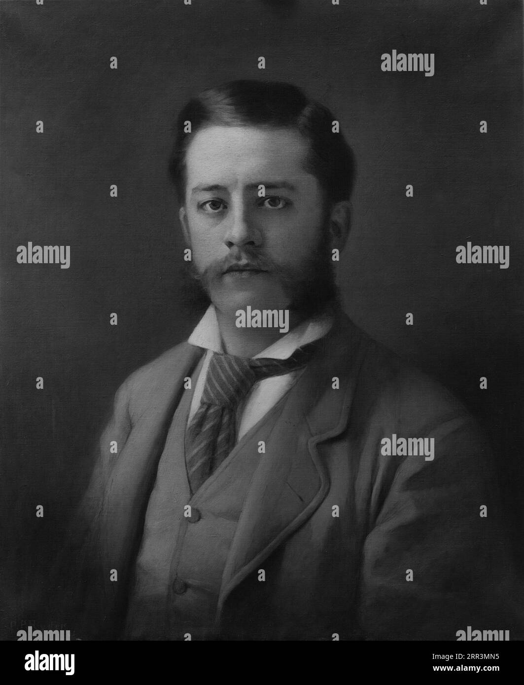 Stephen Whitney Phoenix 1892 by Platt Powell Ryder Stock Photo - Alamy