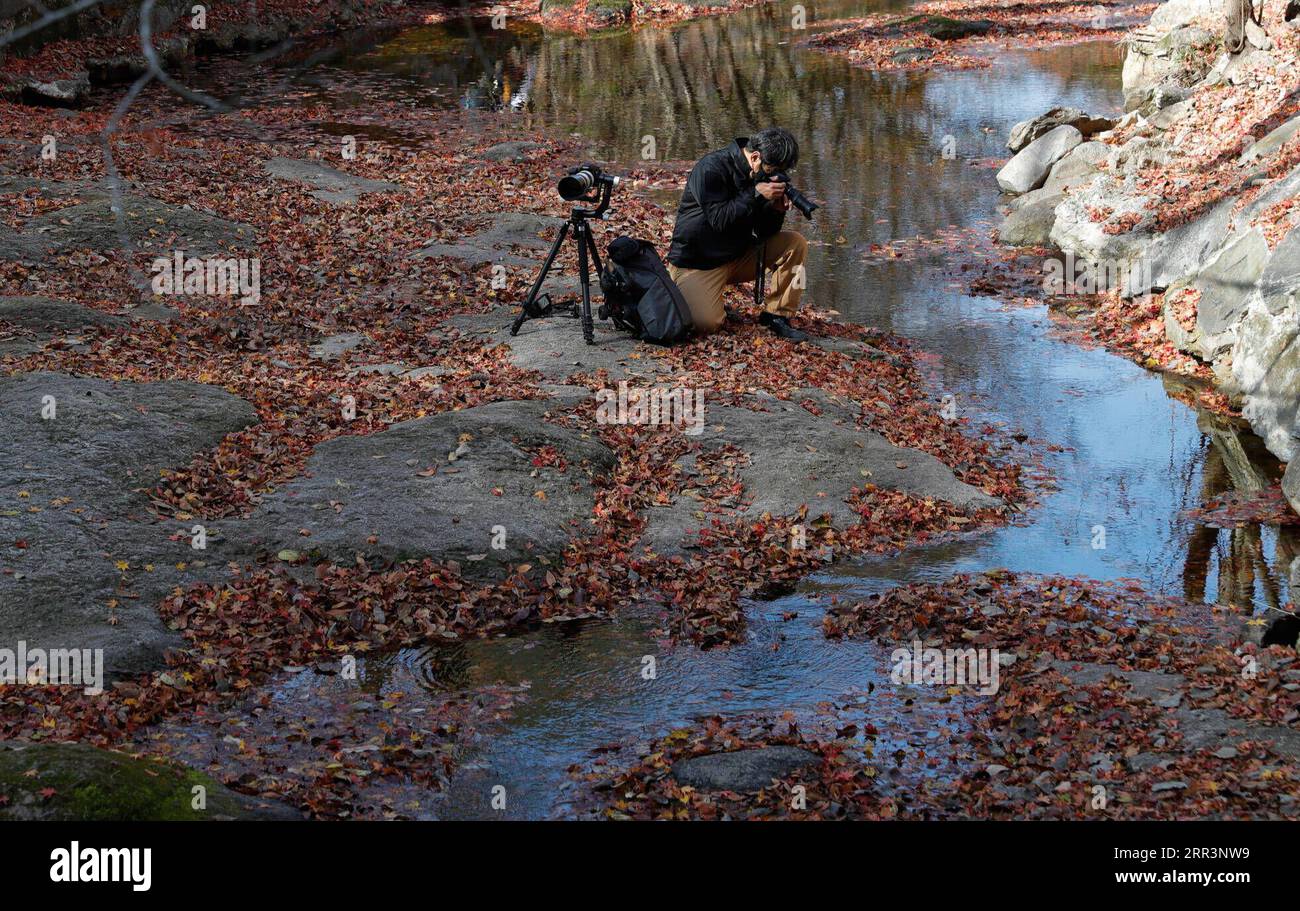 201108 -- JEONGEUP, Nov. 8, 2020 -- A man takes pictures of maple ...