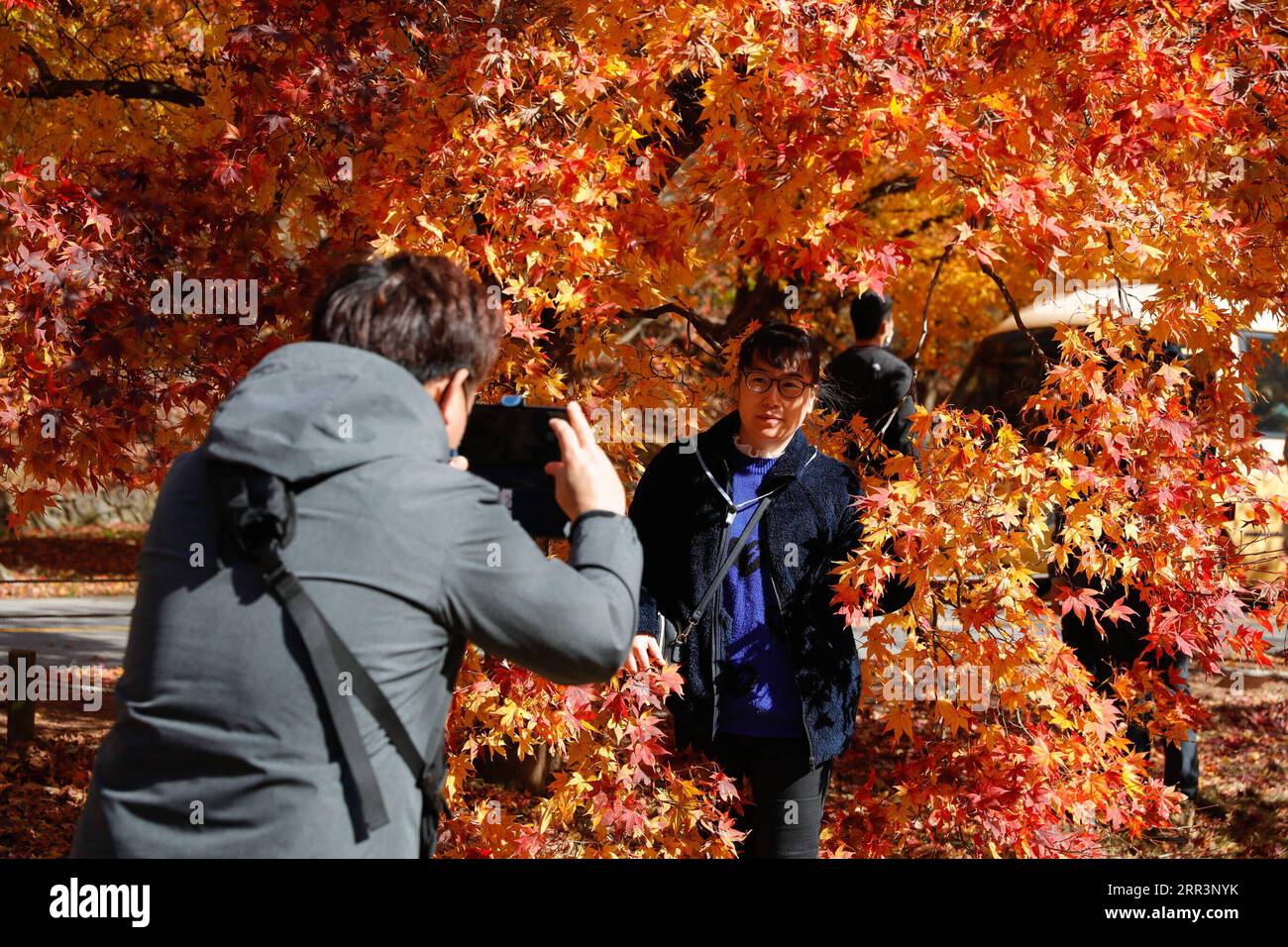 Jeongeup korea hi-res stock photography and images - Alamy