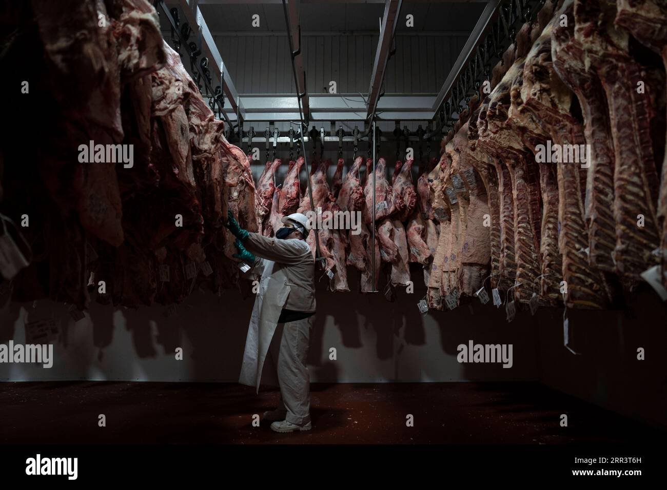 Fod procesing hi-res stock photography and images - Alamy