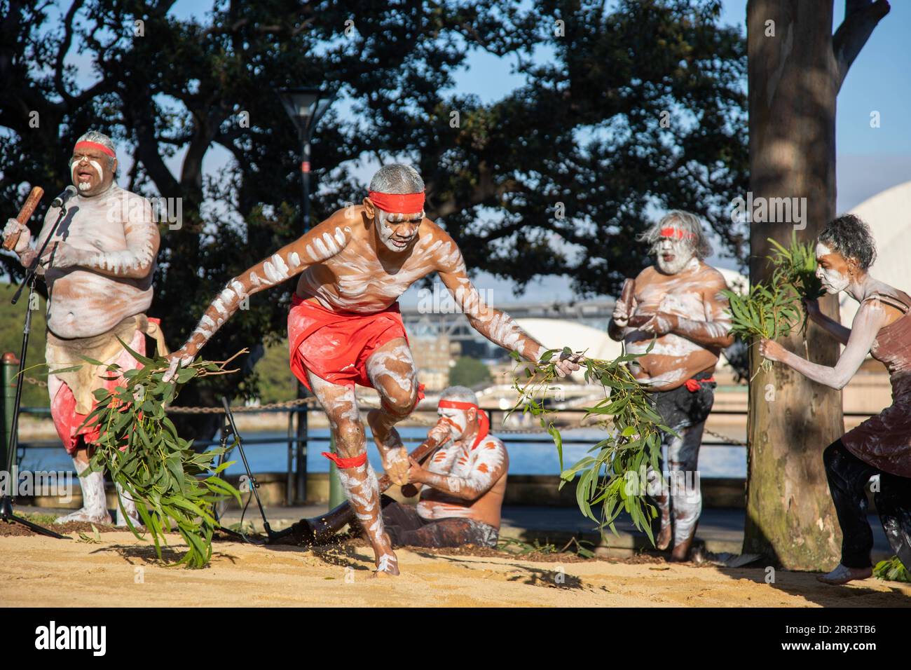 201111 -- SYDNEY, Nov. 11, 2020 -- Aboriginal people dance at Sydney ...